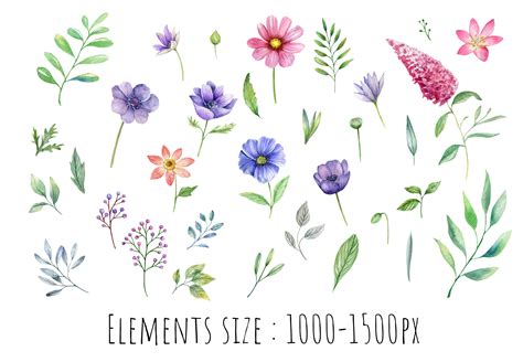 Watercolor Wildflowers And Leaves Clipart Hand Painted PNG By Svetlana