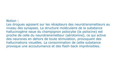 Chapitre 3 Linterprétation du message visuel par le cerveau ppt