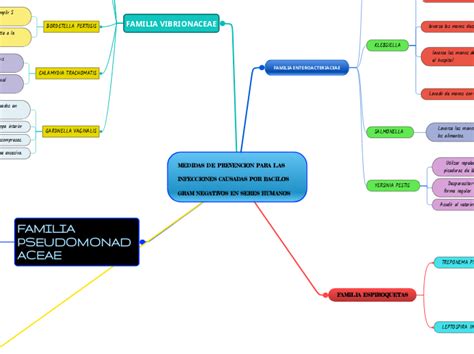 MEDIDAS DE PREVENCION PARA LAS INFECCIONES Mind Map