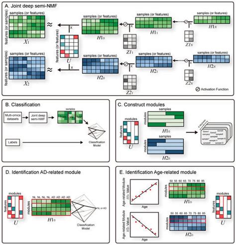 jpm free full text jdsnmf joint deep semi non negative matrix factorization for learning