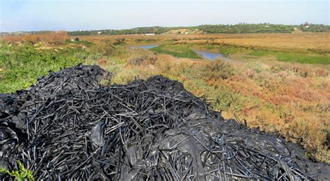 Ecologistas en Acción denuncia la existencia de un vertedero ilegal de
