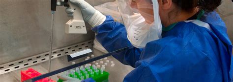 Cómo hacer realidad el derecho a la ciencia CIPDH