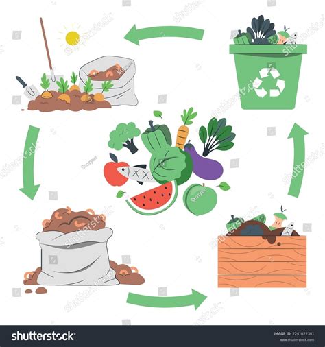 Compost Life Circle Infographic Composting Process Stock Vector