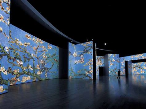 Conoce Todos Los Detalles De Van Gogh Alive The Experience La