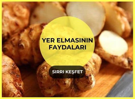 Yer Elması Faydaları Besin Değerleri Kalorisi Diyetisyen Tuğba
