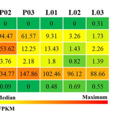 Expression Analysis Of PKS Genes In D Sinense A The Heatmap Of Six