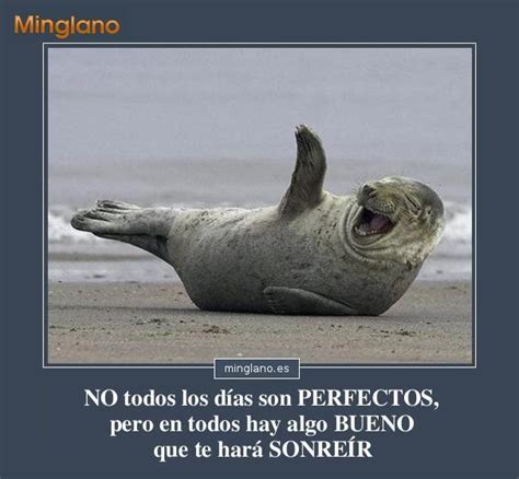 FRASES para ALEGRAR el DÍA a una AMIGA
