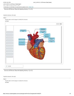 Quiz Submissions Quiz 4 Heart ED BIO202 Human Anatomy And