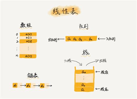 数据结构和算法（三）数组 慕课手记