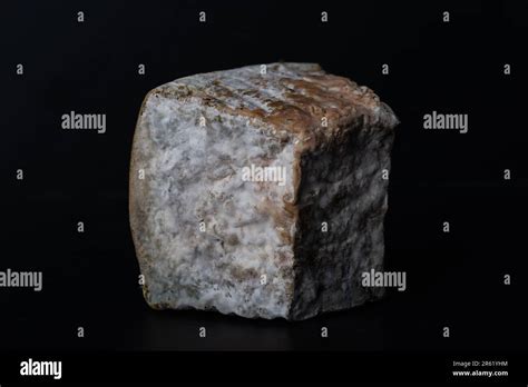 Trozo de queso fermentado por bacterias con hongos y moho Fotografía de