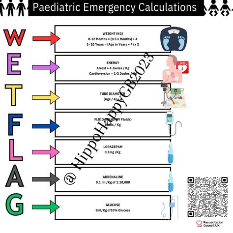 Paediatric Wetflag A Poster And Notes Etsy