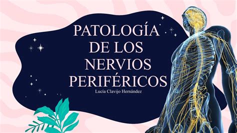 Patolog A De Los Nervios Perif Ricos Yudoc Org Udocz