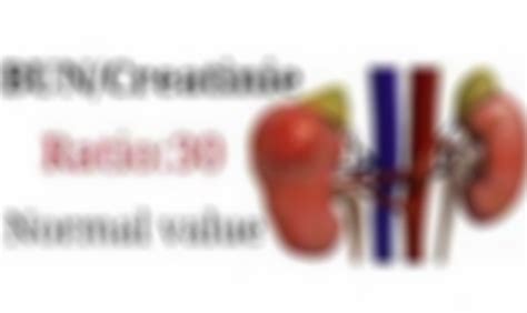 Bun To Creatinine Ratio Calculator X Calculator
