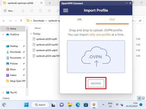 How To Set Up OpenVPN On Windows 11