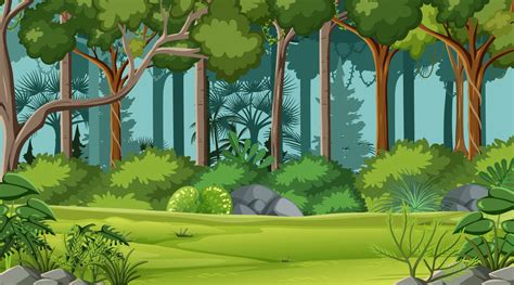 Jungle Clipart Images