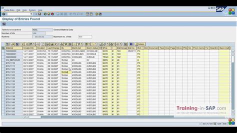 SAP Training How To Edit SAP Table In SE16N Transaction Avi YouTube