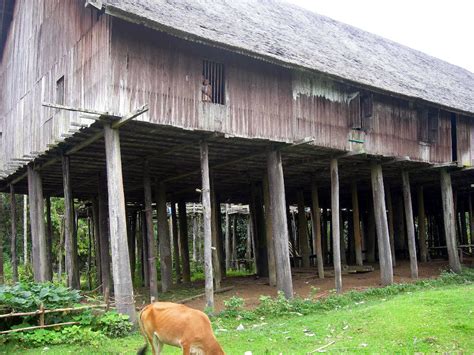 Betang House Of Dayak Betang Rumah Adat Dayak Ngaju Di D Flickr