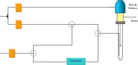 Sch Ma De La Thermobalance Utilis E Pour Les Exp Riences Impliquant Le