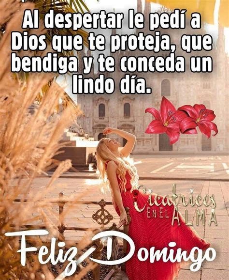 Mejores Im Genes Para Feliz Domingo Imagenesmuybonitas Net