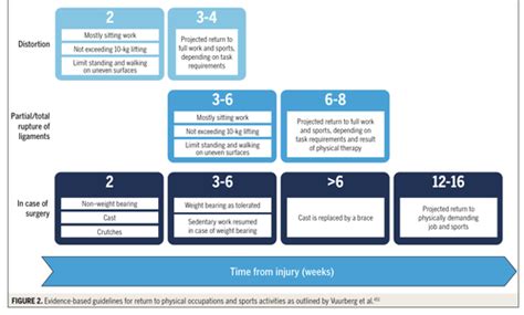 MSK 1 Final Exam Flashcards Quizlet