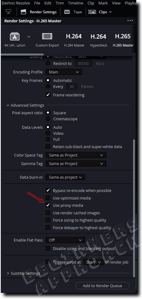 DaVinci Resolve Proxy Tips FIXES 2024 Updated