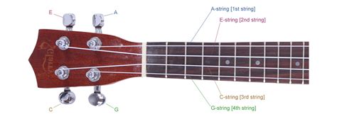 How To Tune Your Ukulele Glarry Co Uk