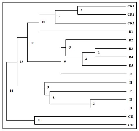 Dendrogram Based Nei S 1978 Genetic Distance Method UPGMA