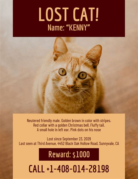 Monochromatic Missing Cat Poster Venngage Poster Template Cat