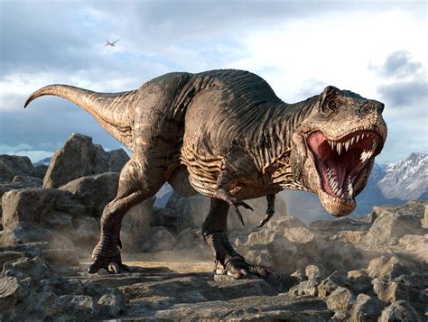 Le Petit Dinosaure et la Vallée des merveilles DPstream