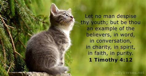 November Bible Verse Of The Day Kjv Timothy