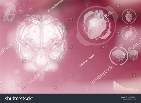 Medical 3d Illustration Human Brain Neurosurgery Stock Illustration