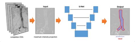 overview of deep learning based segmentation method with the maximum download scientific