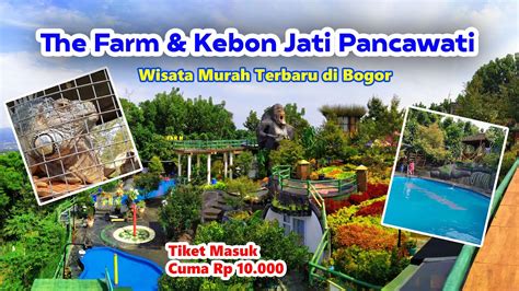 Kebun Jati Pancawati The Farm Bogor Wisata Murah Dan Lengkap Di