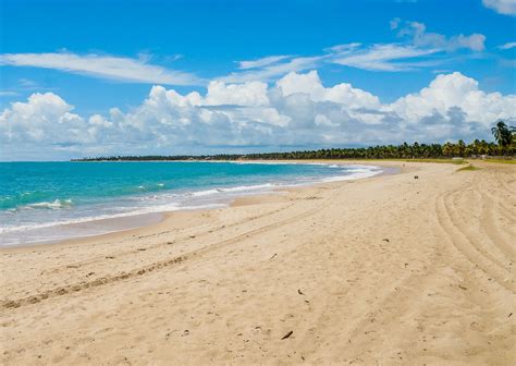 As 12 melhores praias de Recife e arredores veja as imperdíveis