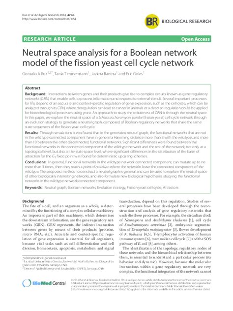pdf neutral space analysis for a boolean network model of the fission yeast cell cycle network