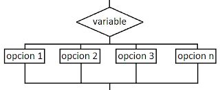 Diagrama De Flujo Switch Case C Pics Midjenum