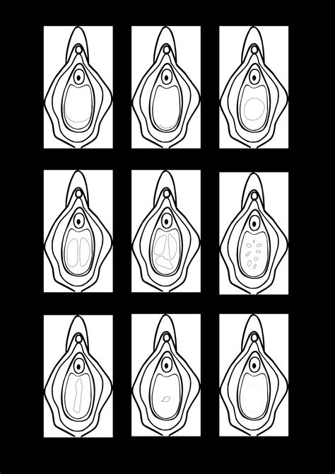 Hymen Hanging From Vagina Sexy Full HD Compilation Free Comments 2