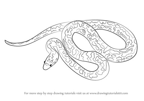 Python Drawing At Paintingvalley Explore Collection Of Python Drawing