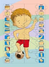 Science Class El Cuerpo Humano Preescolar