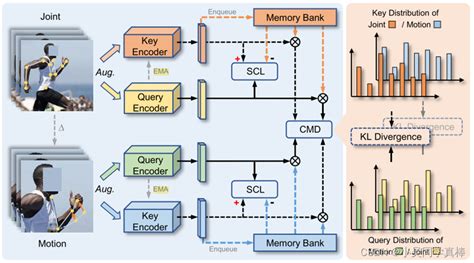 Eccvcmd Self Supervised D Action Representation