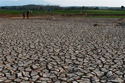 Musim Kemarau Di Sulawesi Utara Diprediksi Mulai Terjadi Pada Juni