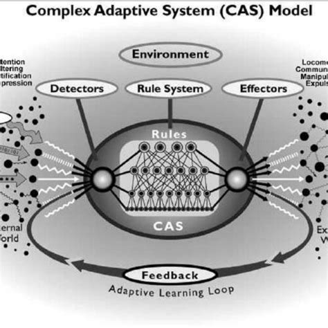 5 an example of a complex adaptive system model mcelroy 2000 download scientific diagram