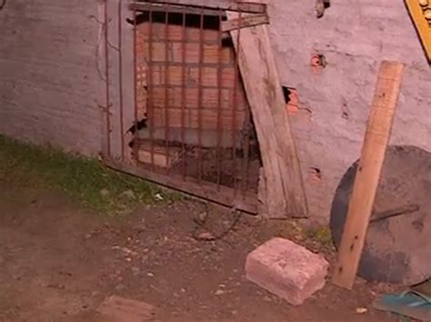 G1 Estado de saúde de menino atacado por pit bull é gravíssimo diz