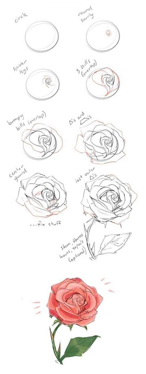 Comment dessiner une rose 37 idées tutos étapes par étapes