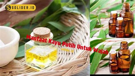 Temukan Manfaat Kayu Putih Untuk Wajah Yang Jarang Diketahui Solider