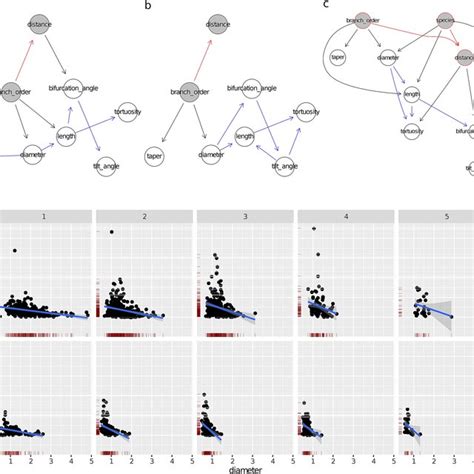 bayesian networks learned from the non terminal branches of human download scientific diagram