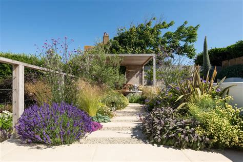 Mediterrane Pflanzen Wellness Im Eigenen Garten
