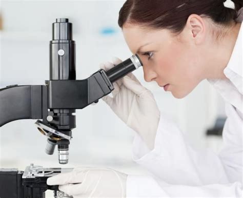 25 ramas de la biología y qué estudian Conócelas aquí
