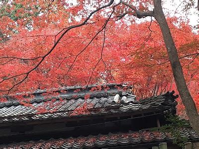 Kyorinbo Temple Buddhist Temple Omihachiman Shi Shiga
