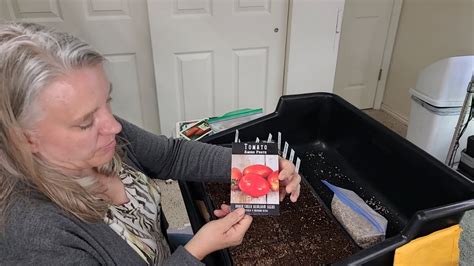 22 Beginning Gardener Series How To Start Tomatoes From Seed YouTube